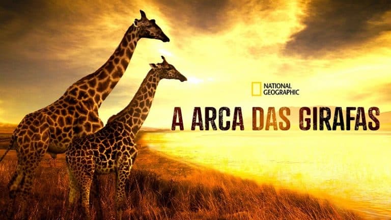 A Arca das Girafas: Disney+ lança documentário da Nat Geo - Guia ...