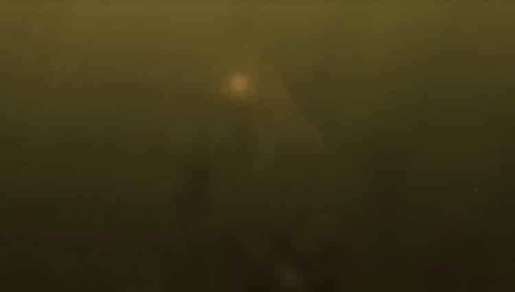 O que é Nereida, a criatura no final do 4º episódio de Percy Jackson?